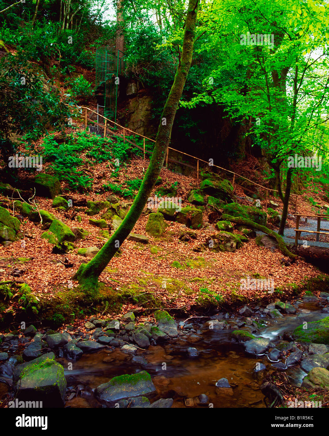 Kilfane hi-res stock photography and images - Alamy