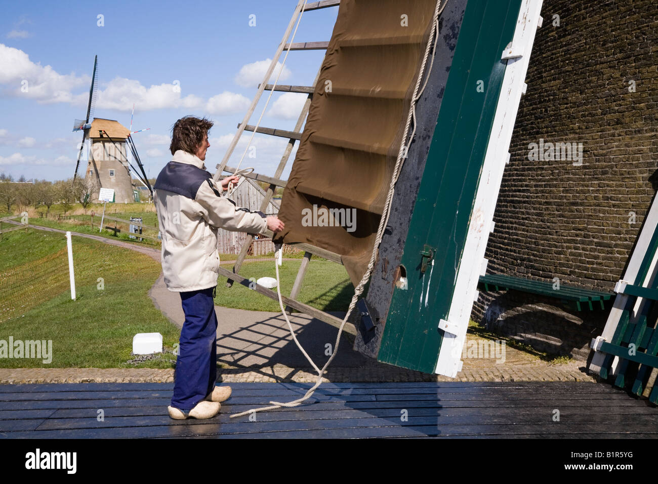 Windmill worker setting the sails on a windmill at Kinderdijk, Holland ...