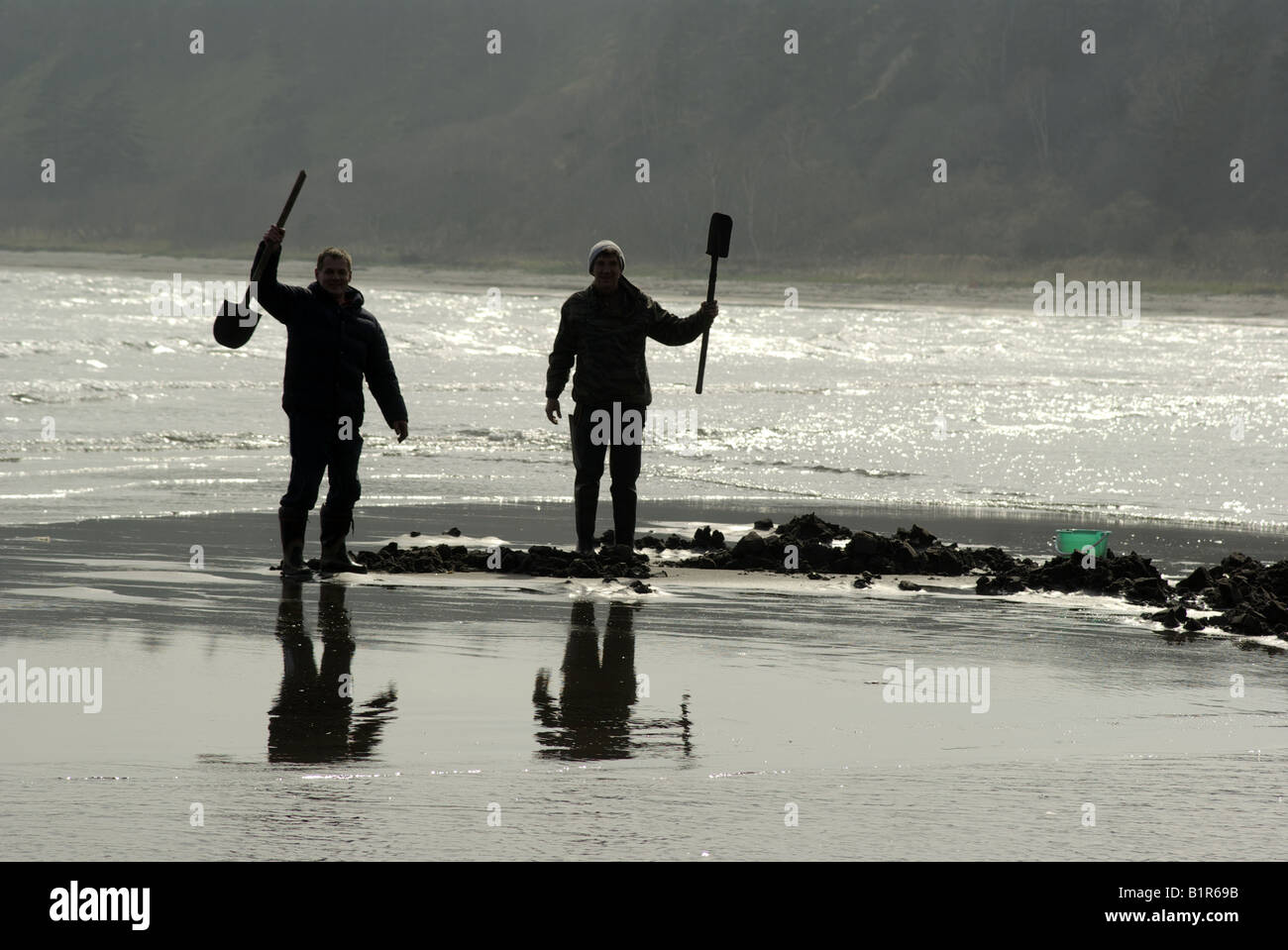 Clam harvesting hi-res stock photography and images - Alamy