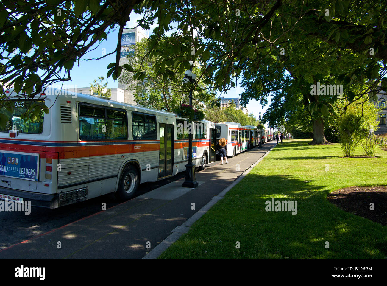 Line of public transit buses at a busy bus stop terminal Victoria BC ...
