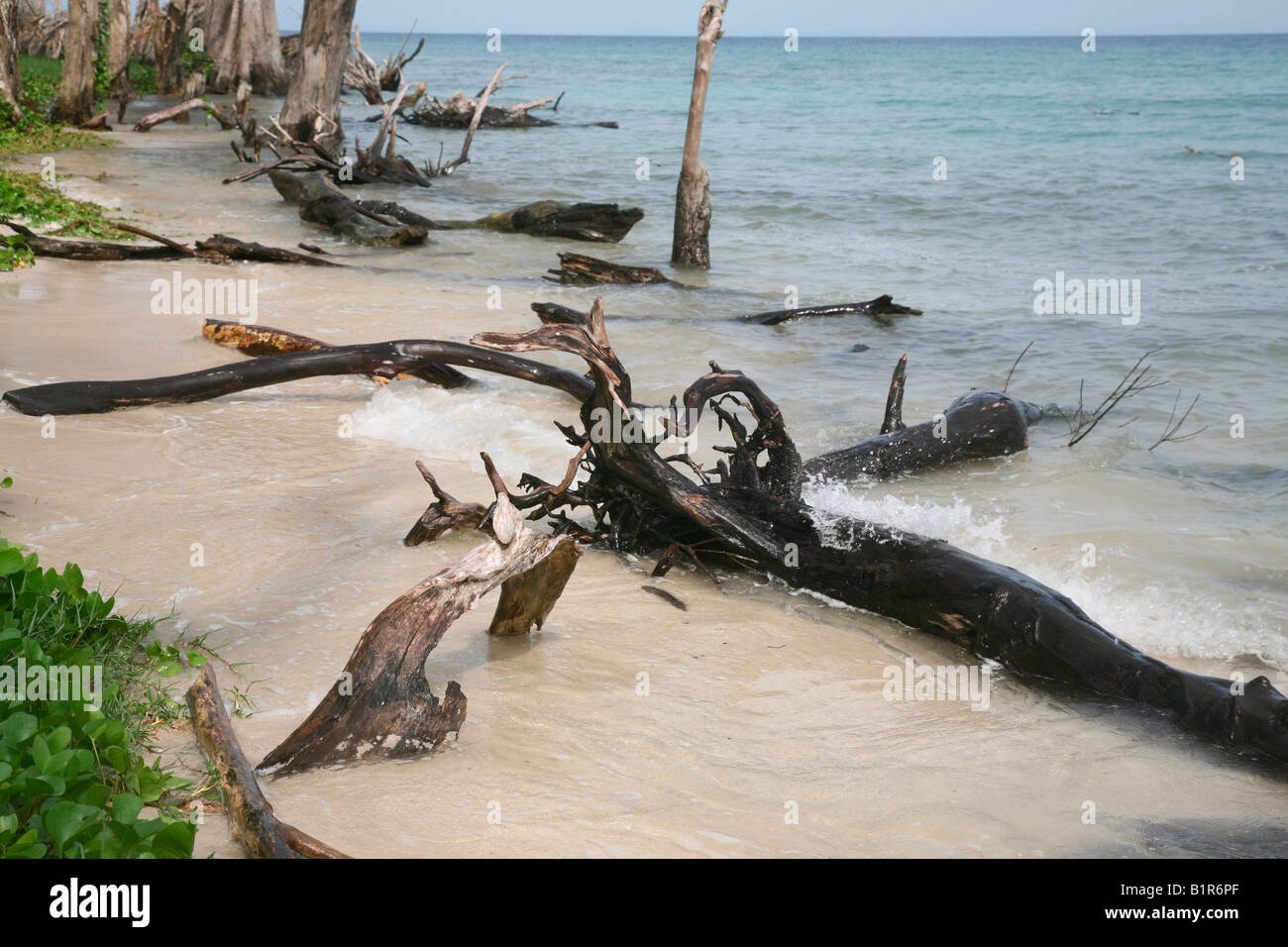 Elephant beach at Havelock island andaman,india Stock Photo - Alamy
