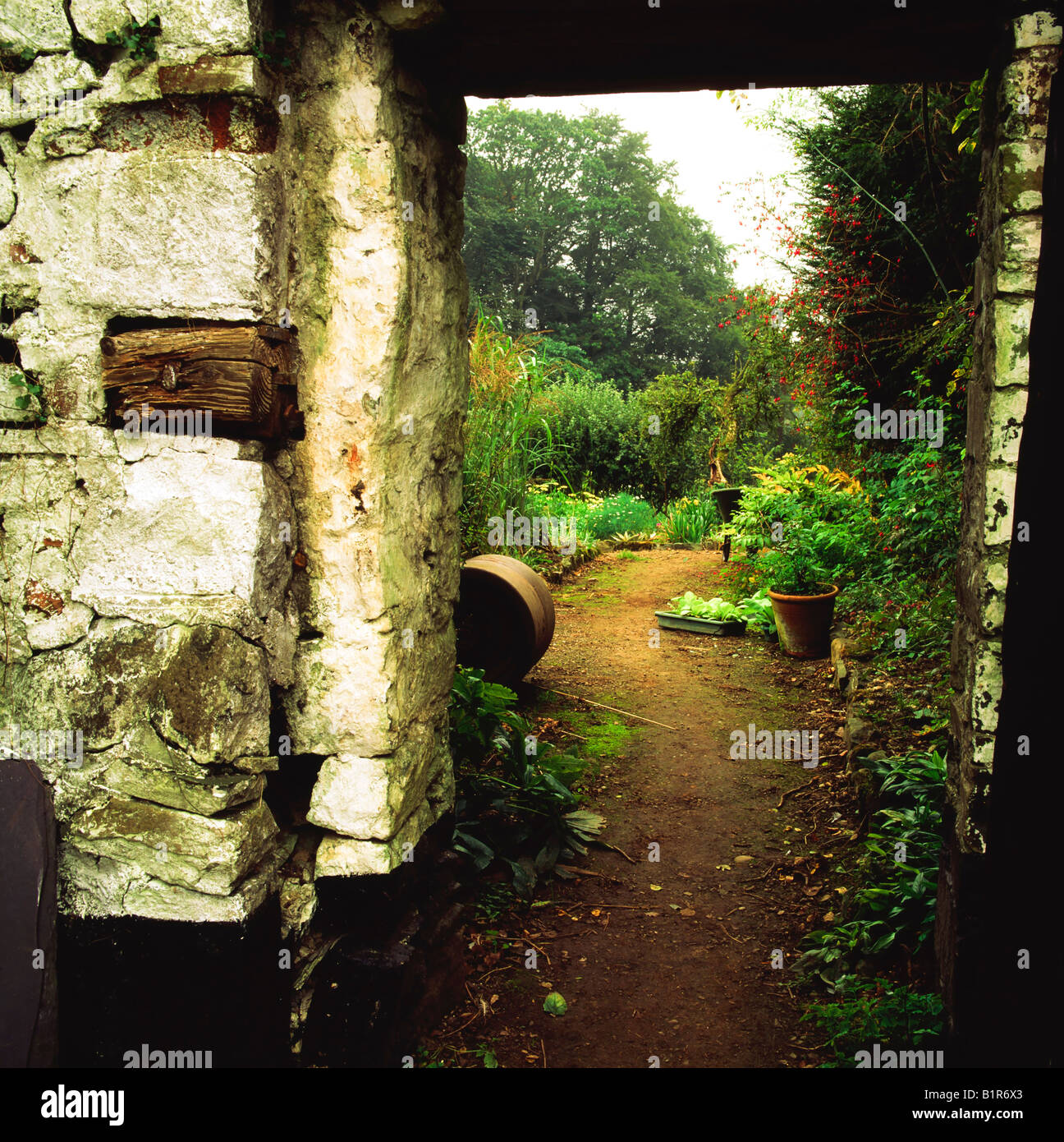 Mullagh, Co Cavan, Ireland, Lakeview Gardens in Autumn Stock Photo - Alamy