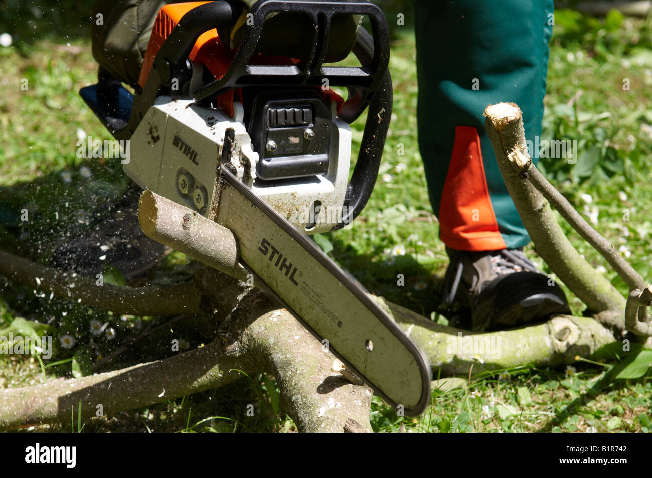 Man in full protective STIHL power tool clothing using his chainsaw MS ...
