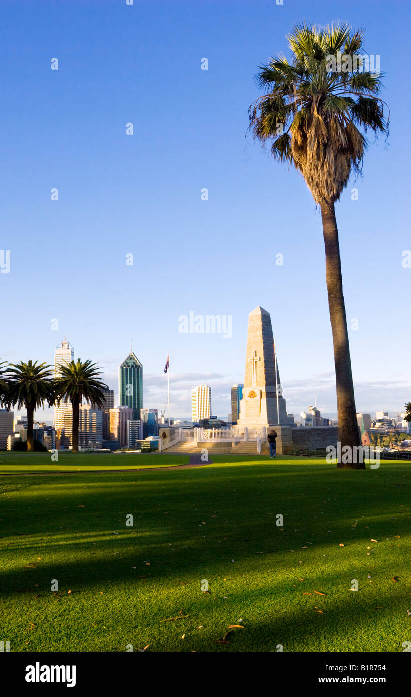 A palm tree in King's Park with the war memorial and city skyscrapers ...