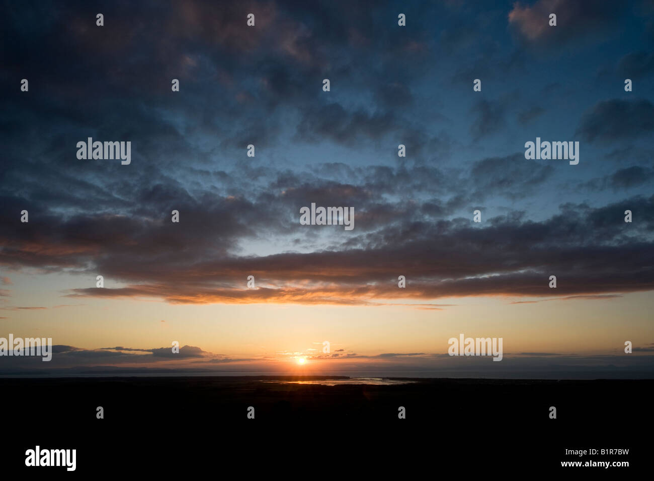 Califer forres hi-res stock photography and images - Alamy