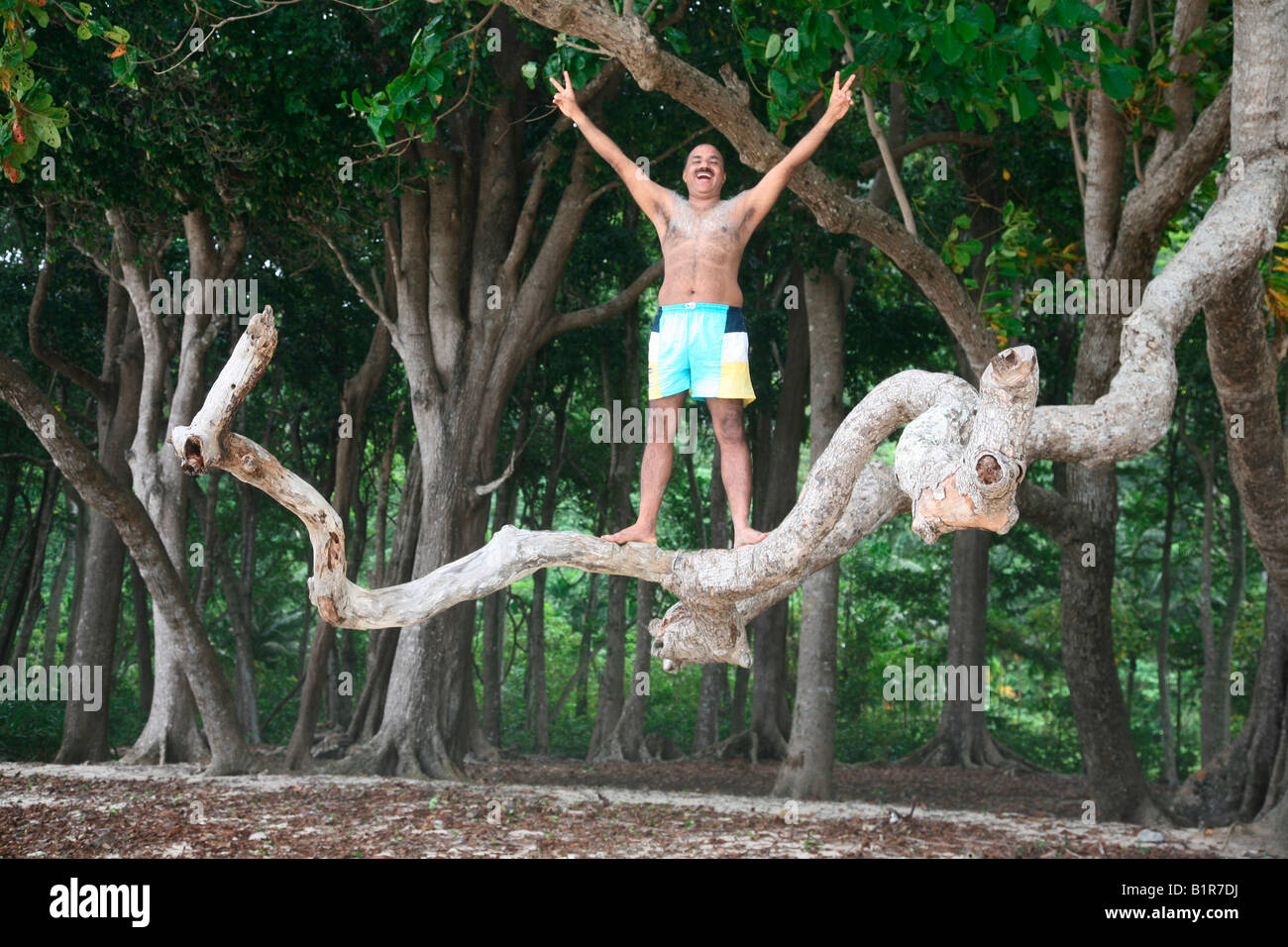 Joy at tree branch Stock Photo - Alamy