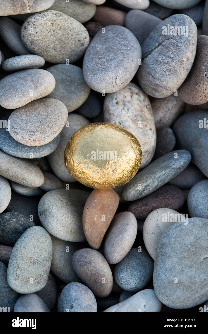 Golden round pebble among pebbles on a beach. Findhorn beach, Moray ...