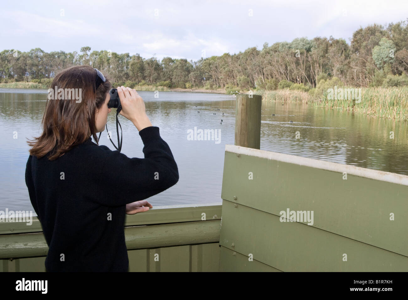 A woman with binoculars birdwatching from a lookout at the side of a ...