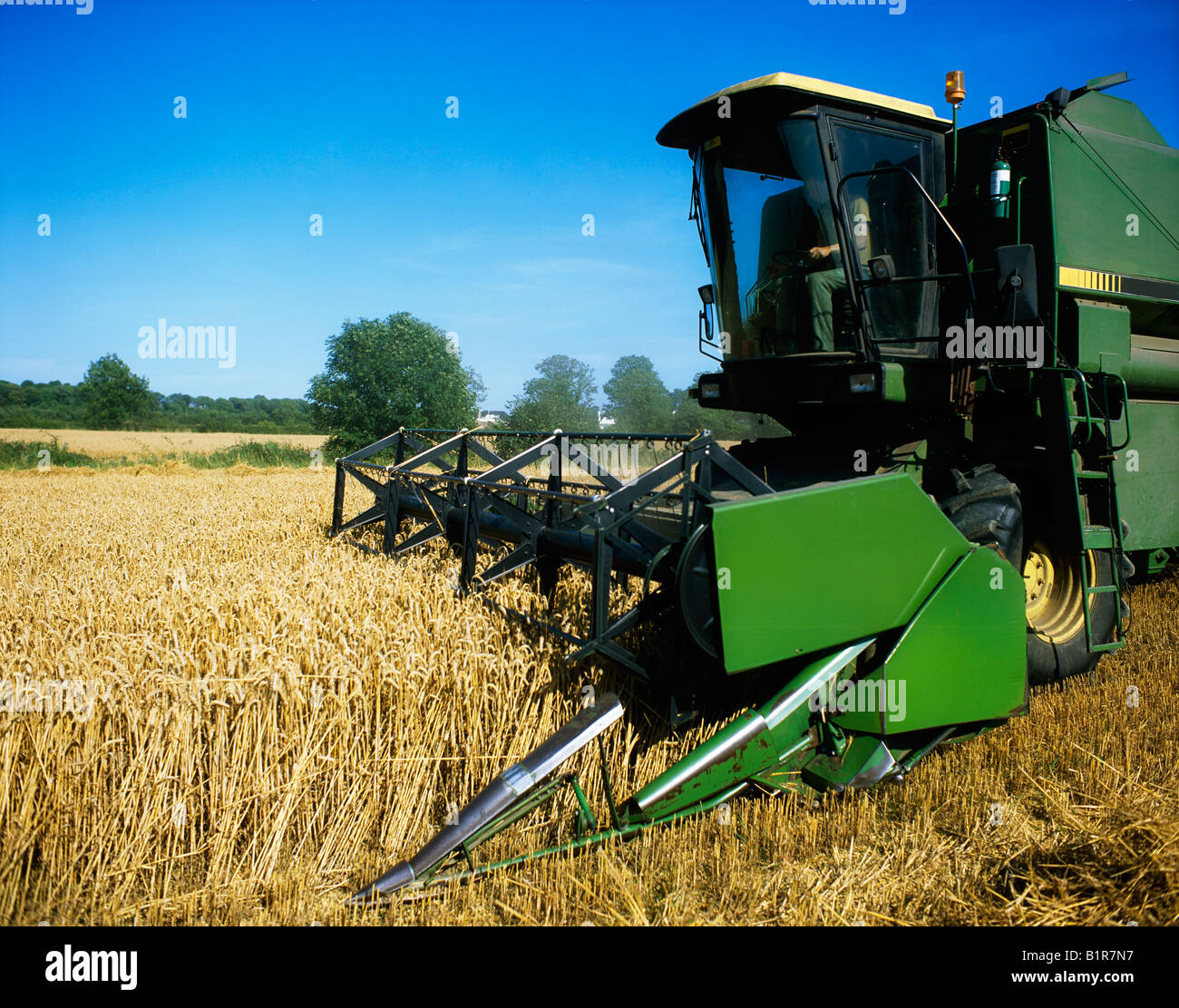 Ireland, Combine Harvesting Barley Stock Photo - Alamy