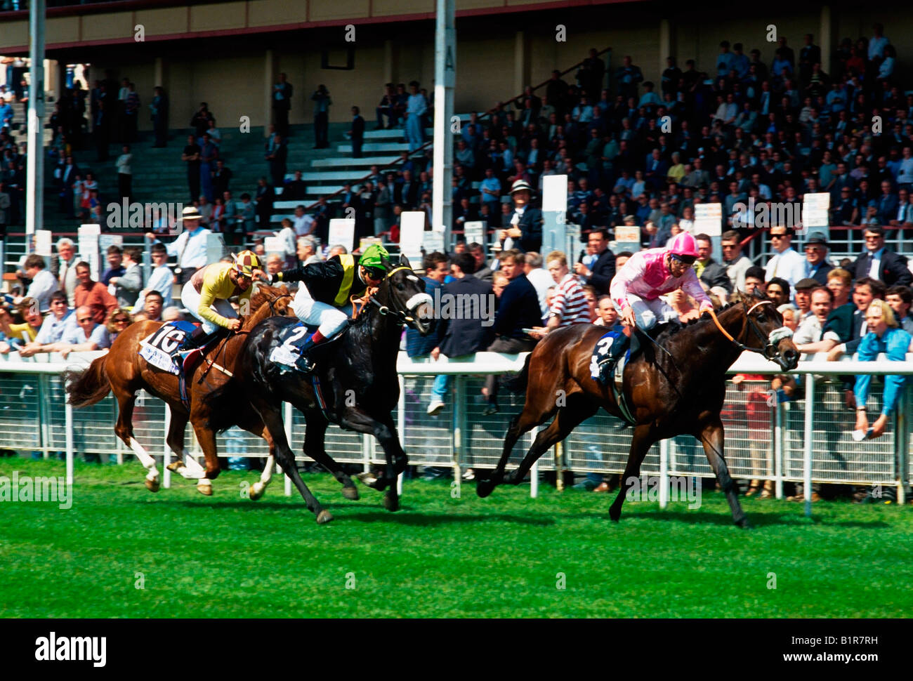 Curragh, Co Kildare, Ireland, Curragh Racecourse Stock Photo - Alamy
