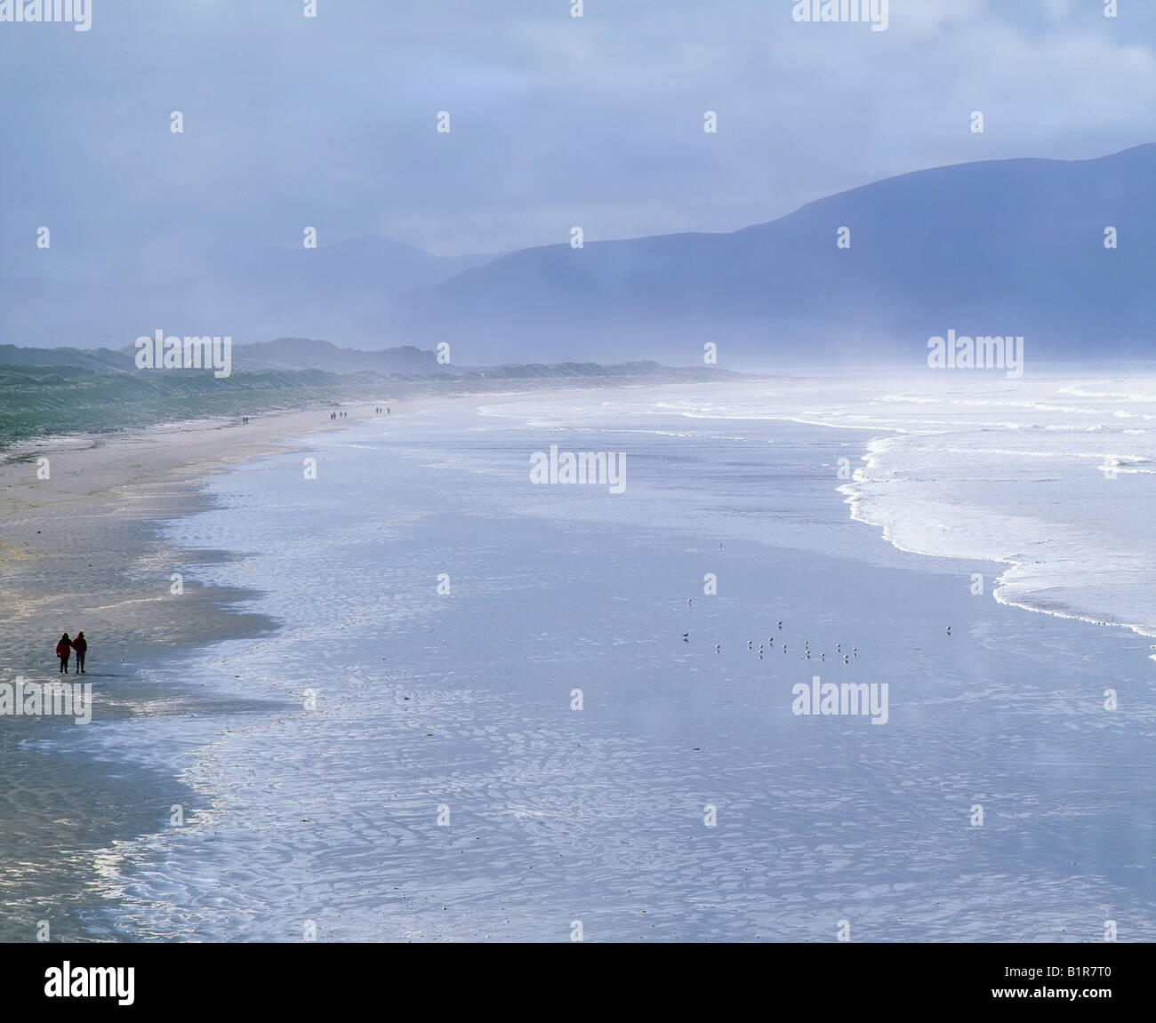Dingle Peninsula, Co Kerry, Ireland, Inch Beach Stock Photo - Alamy