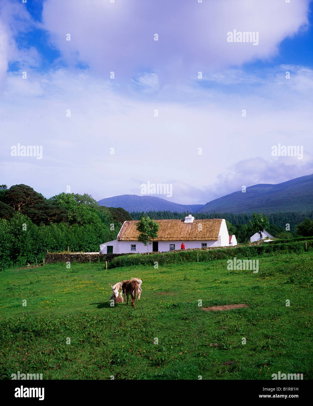 Muckross traditional farms hi-res stock photography and images - Alamy