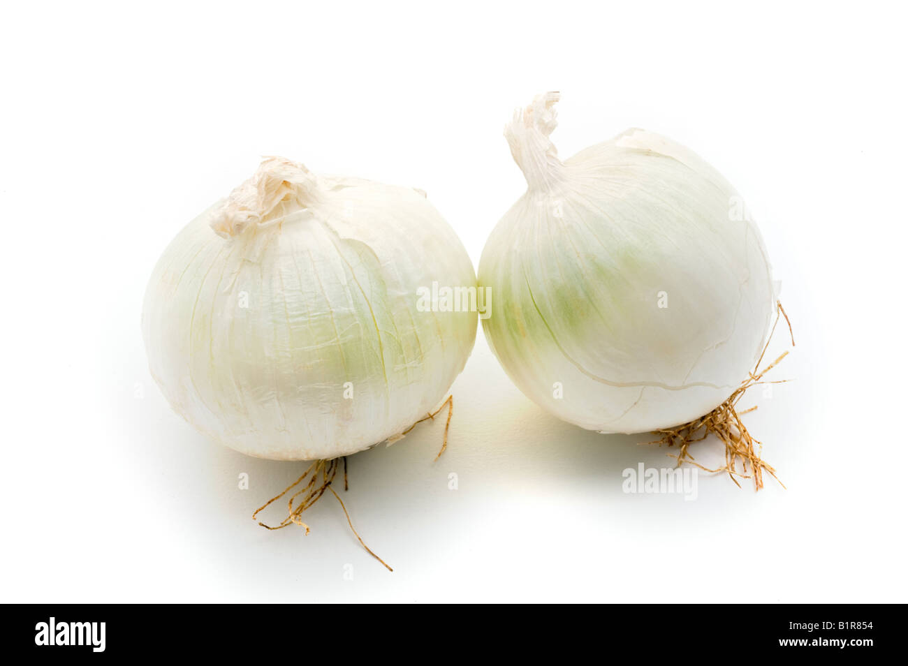 two white onions isolated on white background Stock Photo - Alamy