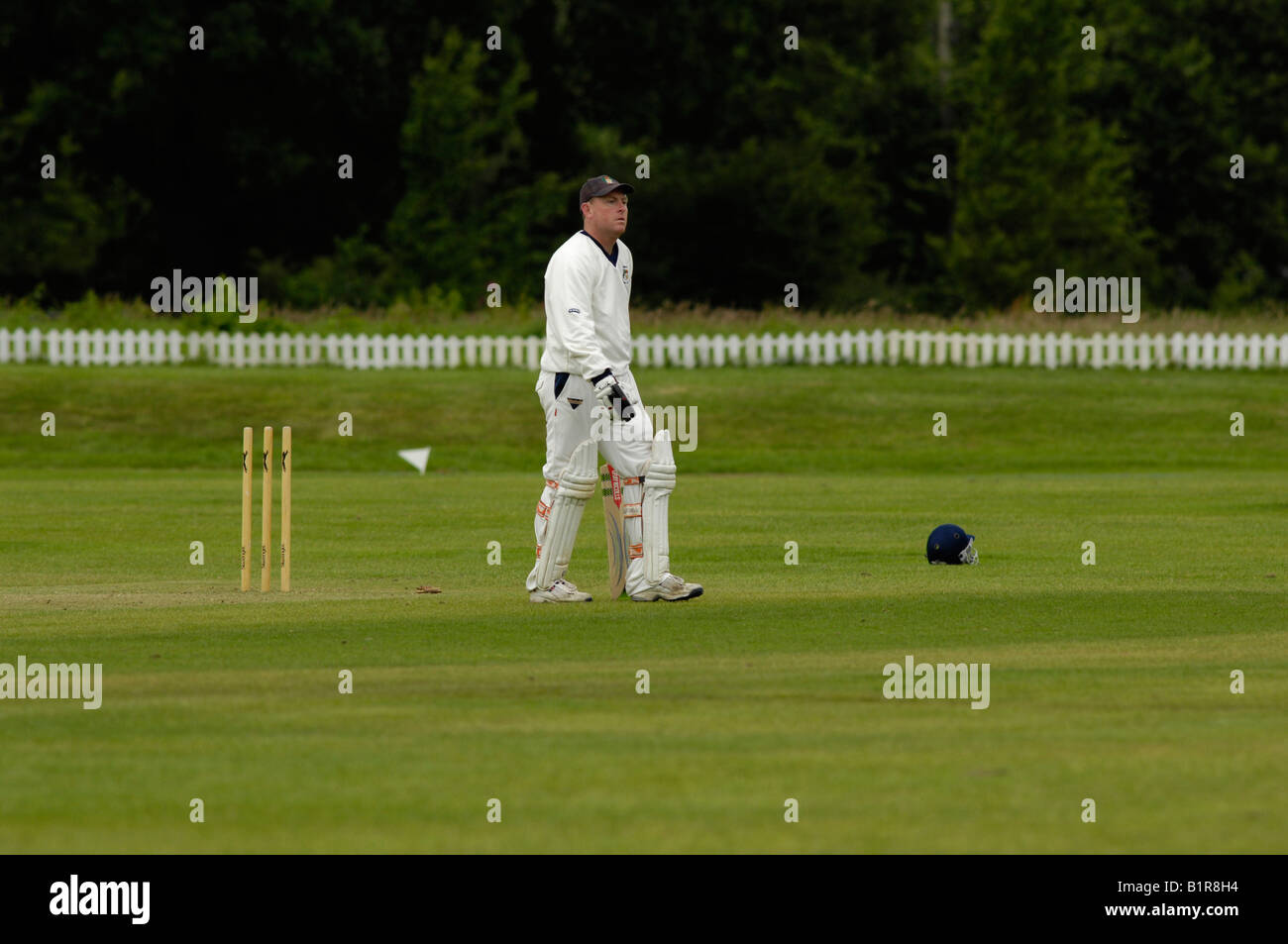 batsman walks to the pavilion after being given out Stock Photo - Alamy