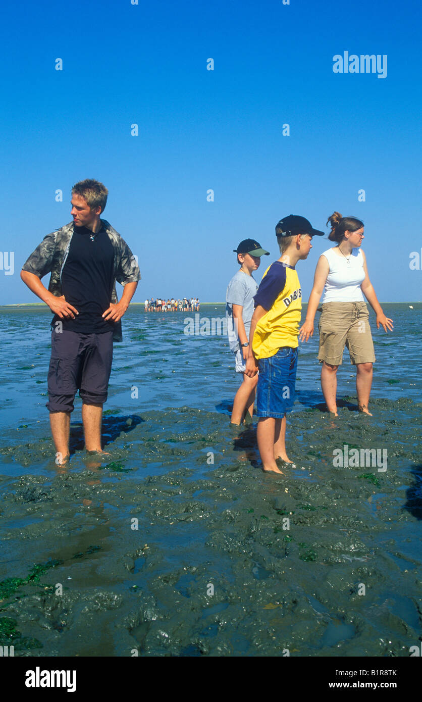 mudflat hiking tour, North Sea Coast, Northern Germany Stock Photo - Alamy