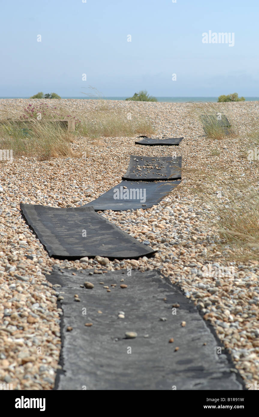 Littlestone beach zig zag path Stock Photo - Alamy
