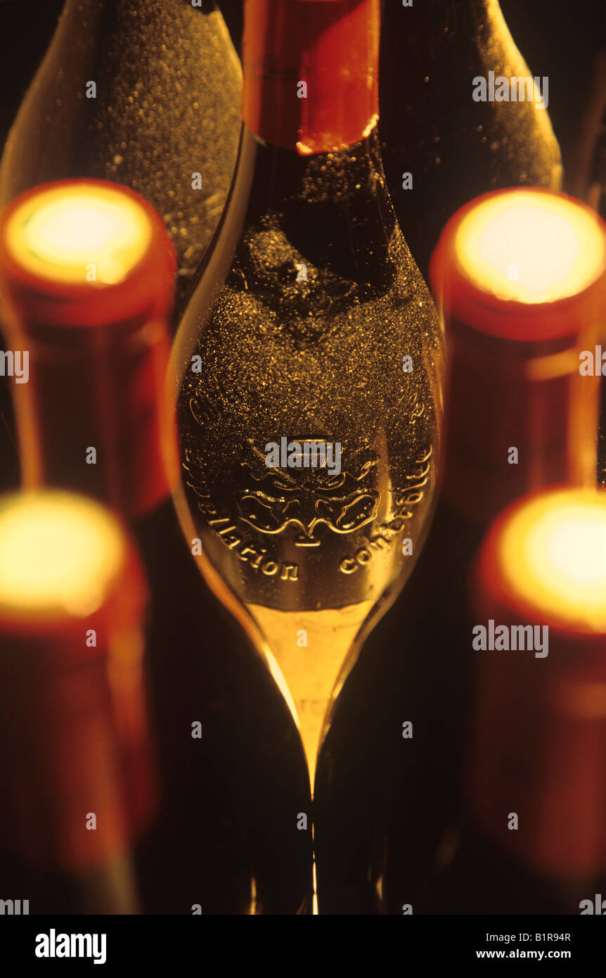 Dusty Wine Bottles in Wine Cellar Stock Photo - Alamy