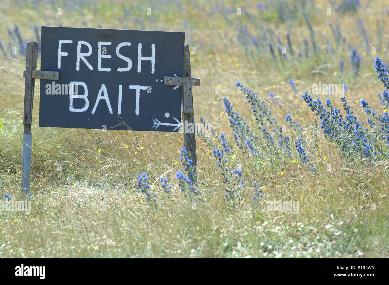 Dungeness Kent, 'Fresh Bait' sign along the road by the shingle beach ...