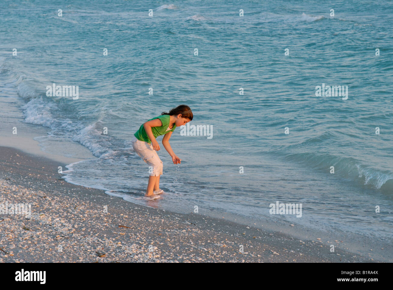 Collecting shells at the beach hi-res stock photography and images - Alamy
