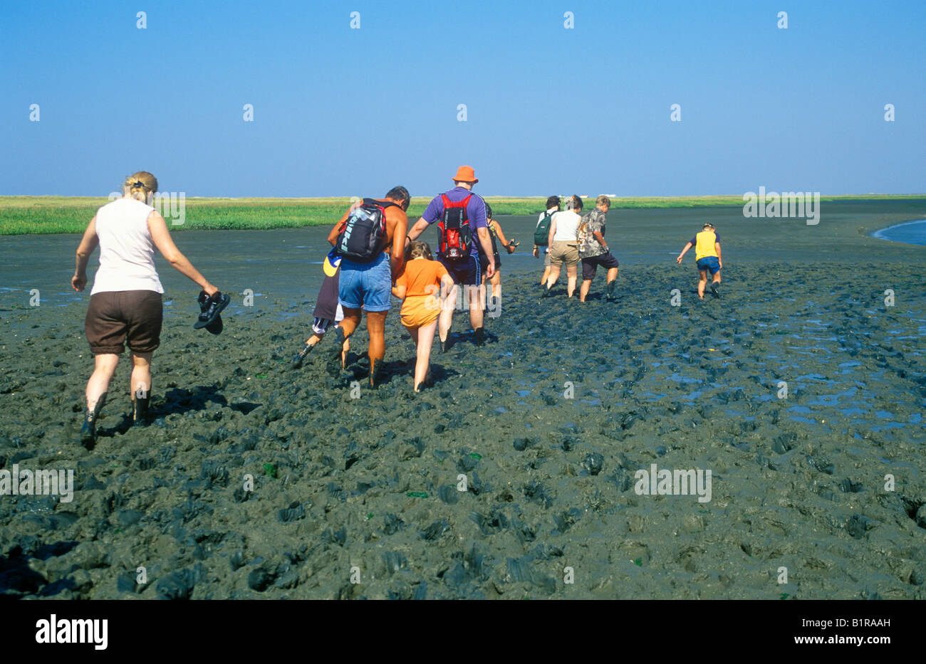 mudflat hiking tour, North Sea Coast, Northern Germany Stock Photo - Alamy
