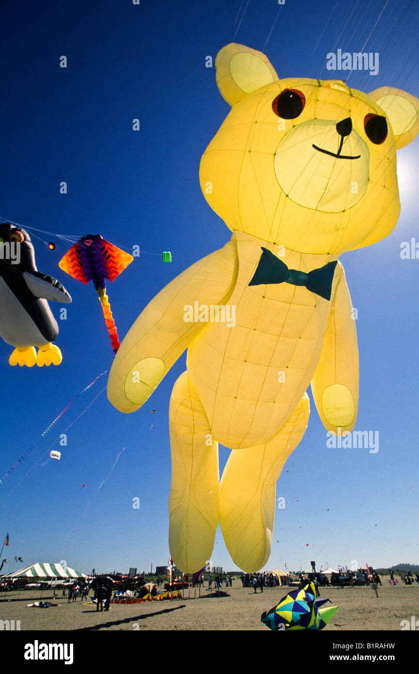 Animal shaped kites flying at the Long Beach International Kite ...