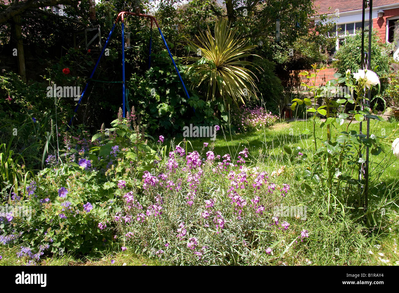Small garden shrubs hi-res stock photography and images - Alamy