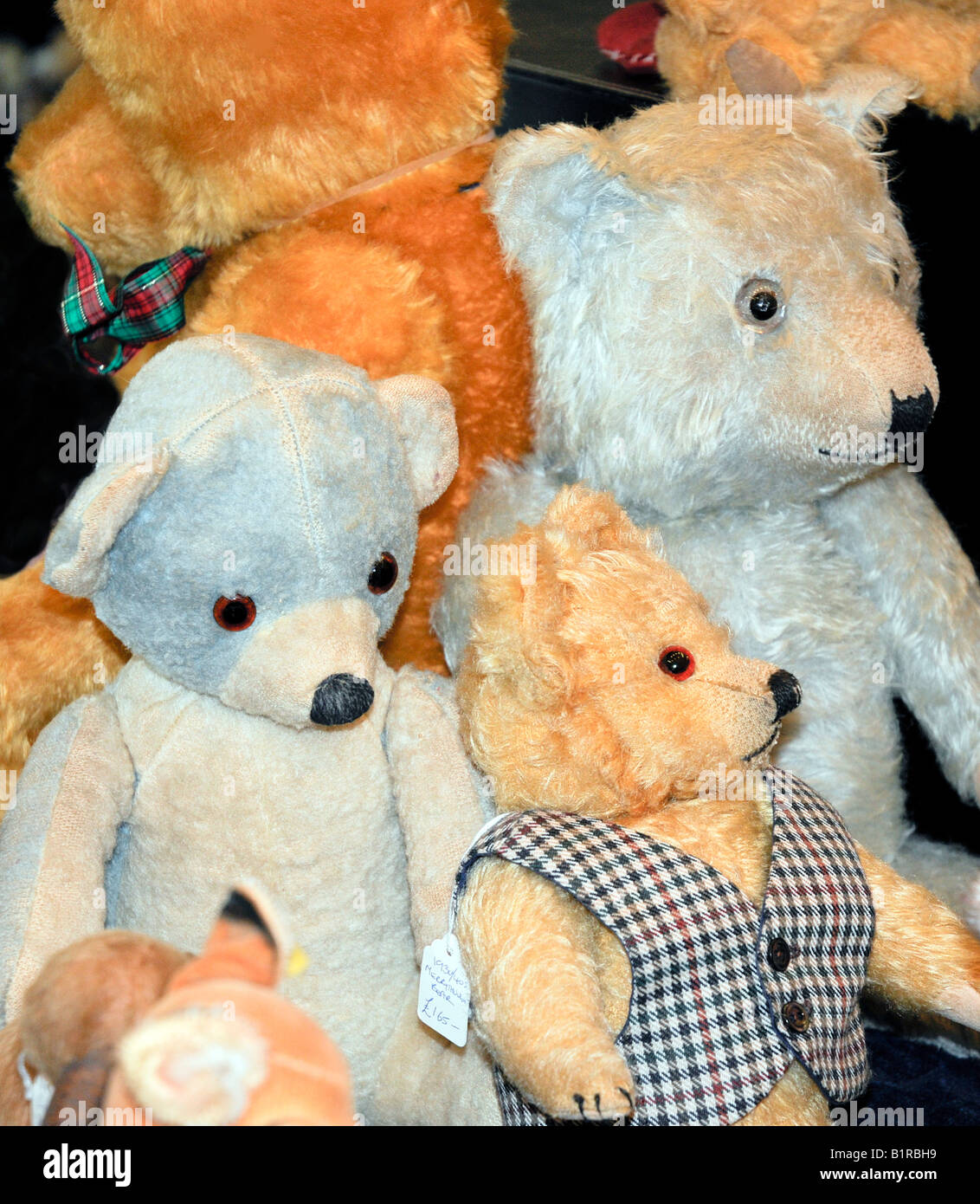 A collection of Teddy Bears Stock Photo - Alamy
