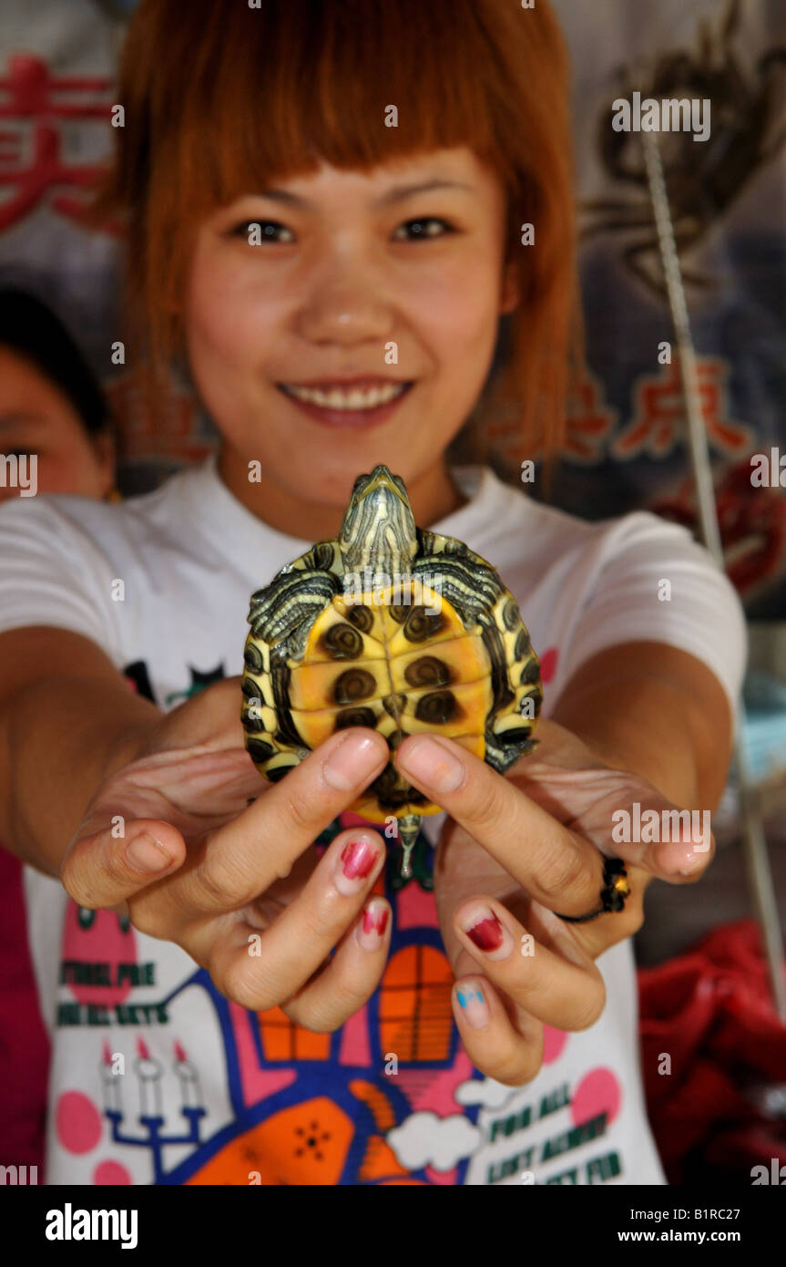A Chinese beauty holds a colorful turtle which is commonly eaten ...