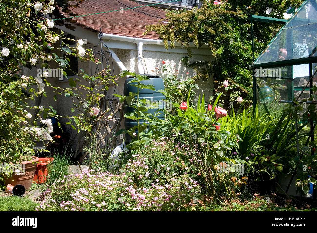 small suburban back garden Stock Photo - Alamy