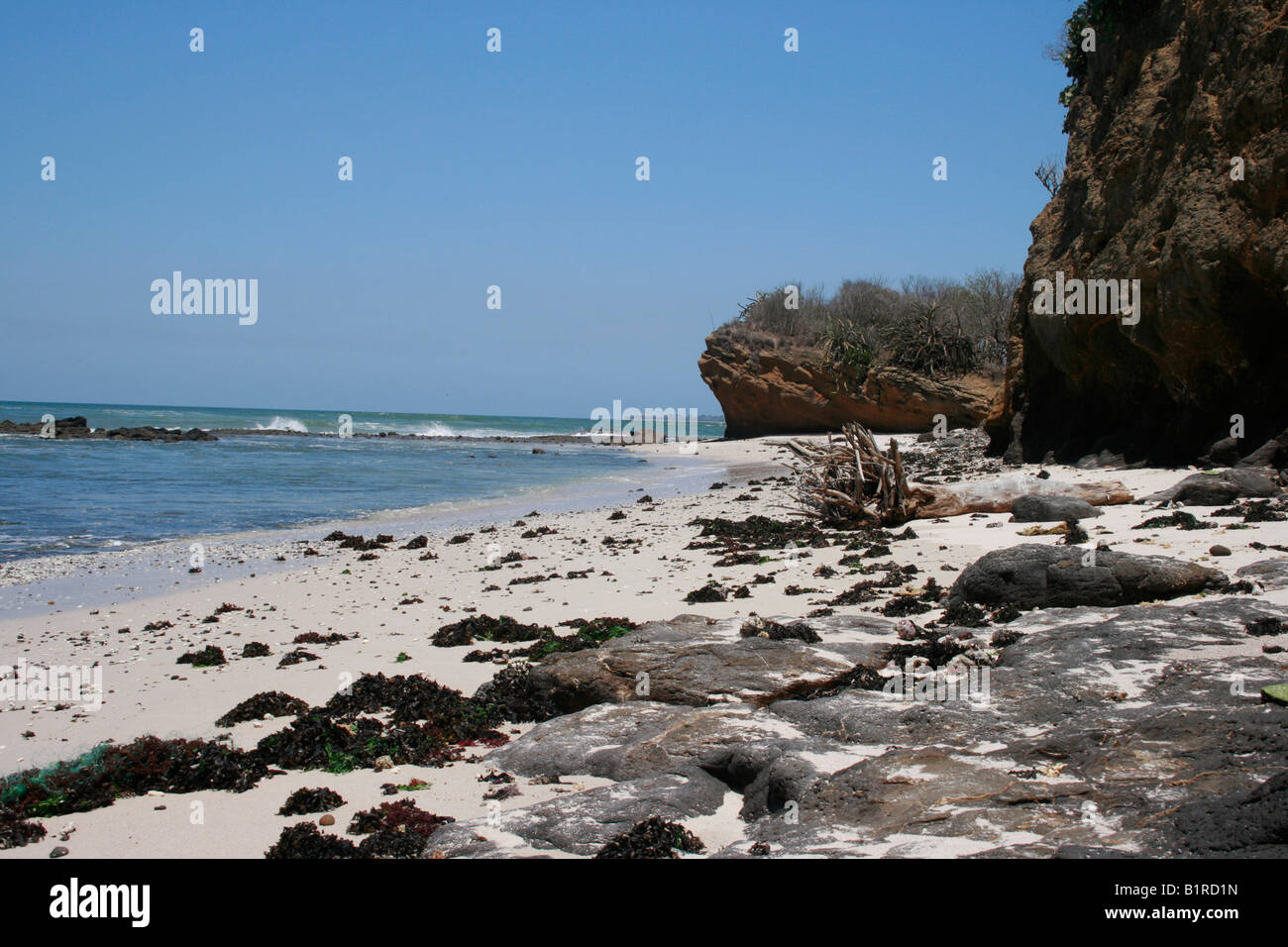 Deserted tropical beach on the Pacific coast of Mexico Stock Photo - Alamy