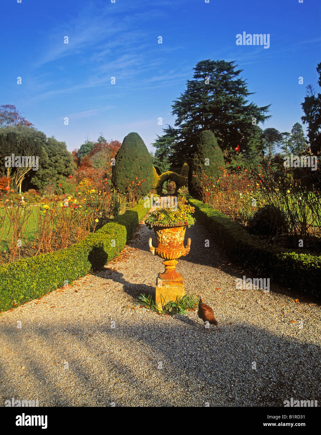 Altamont gardens co carlow ireland hi-res stock photography and images ...