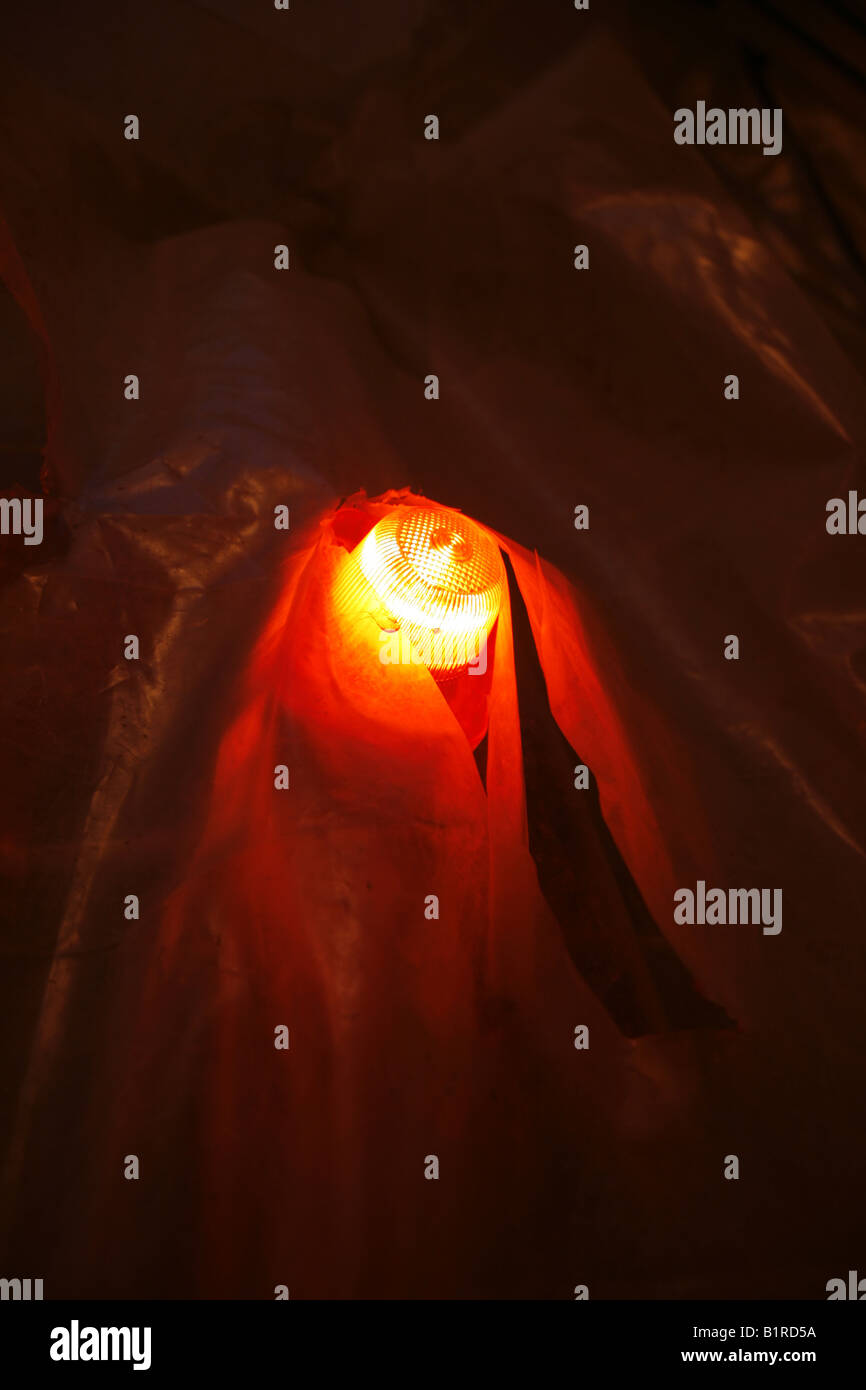 one red security light on scaffolding at night Stock Photo - Alamy