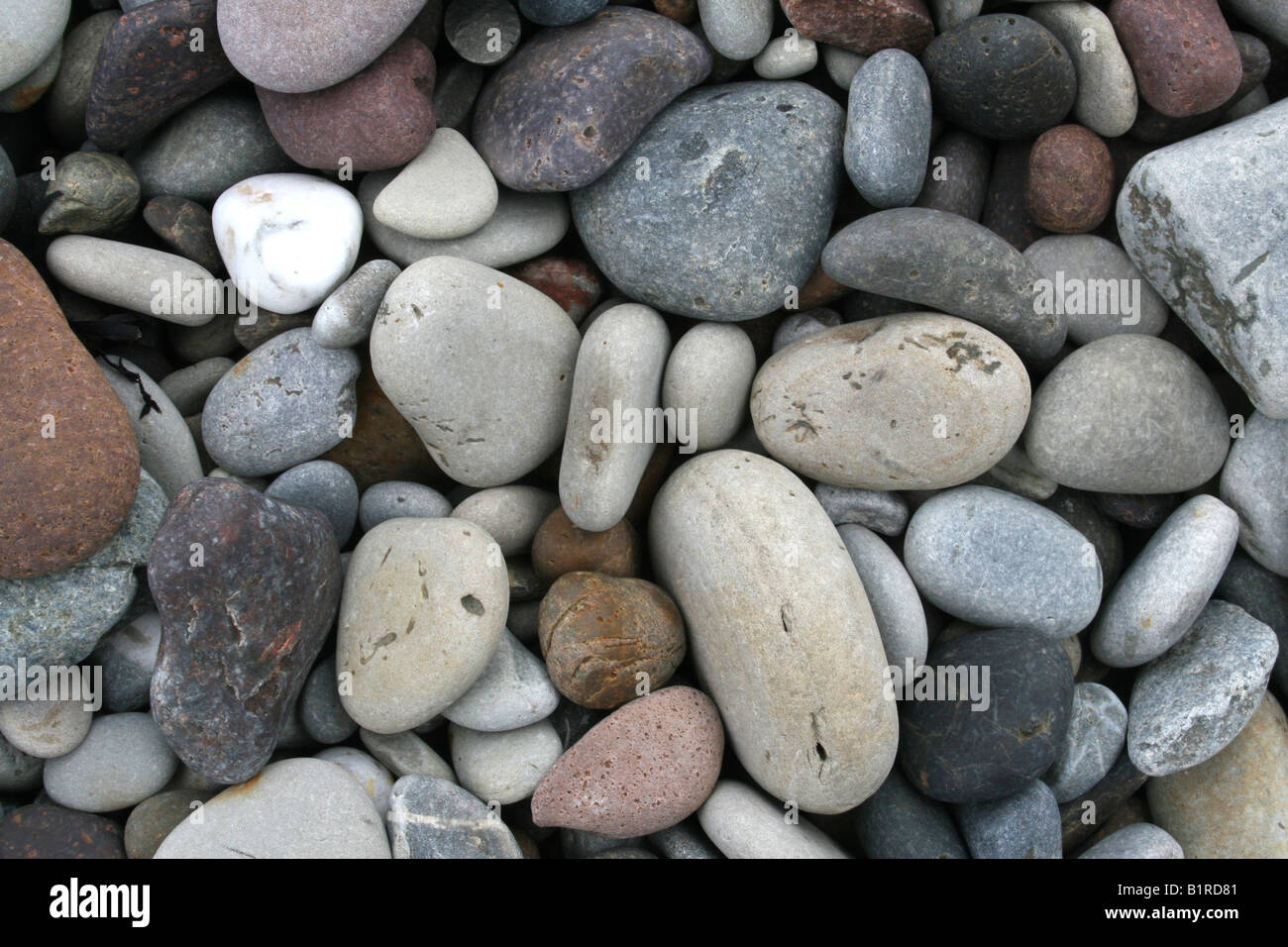Smooth multi-colored pebbles on seashore Stock Photo - Alamy