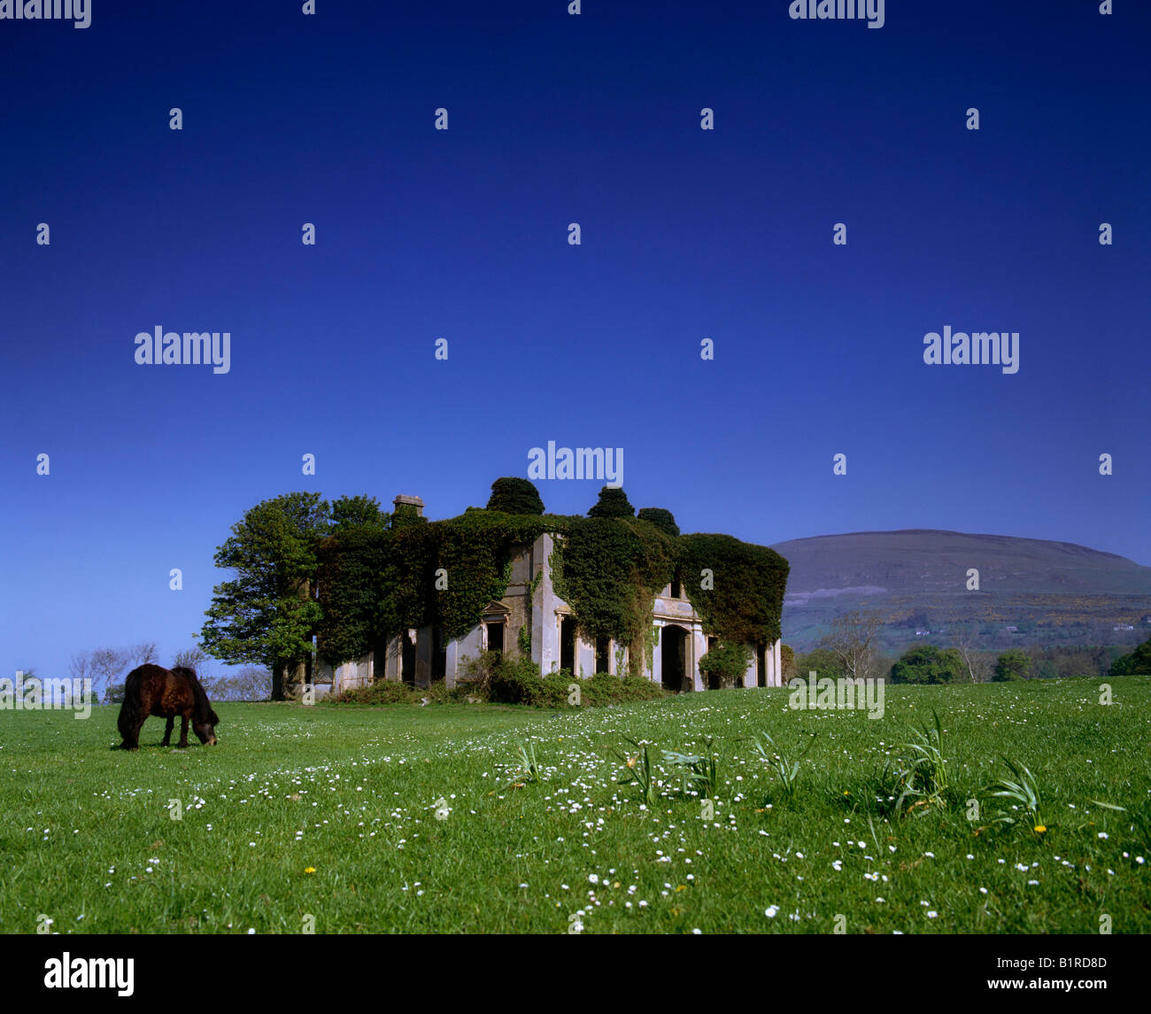 The Library, Dundalk, Co Louth, Ireland Stock Photo - Alamy