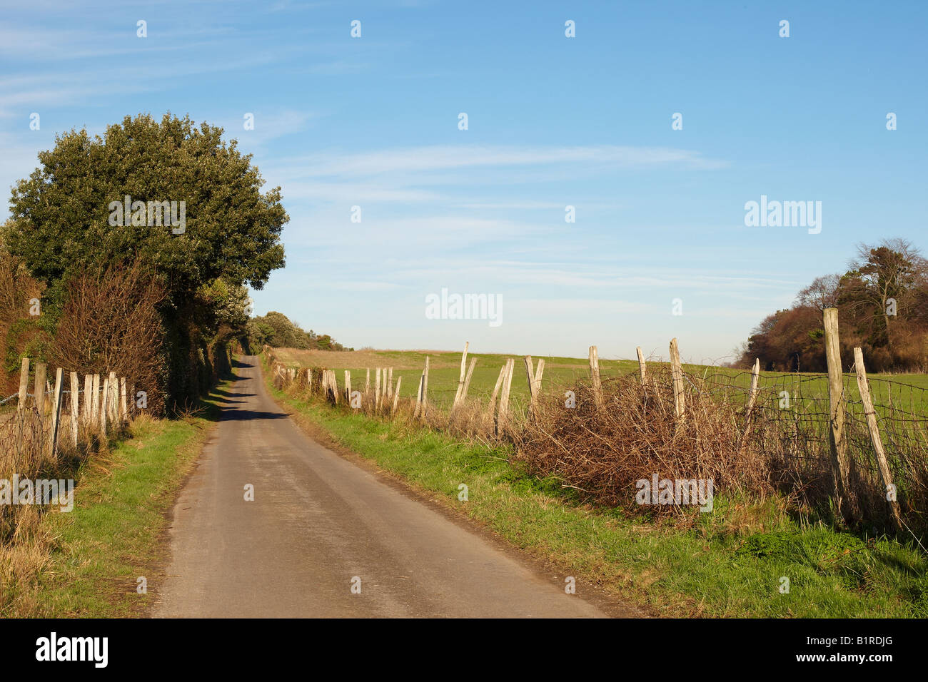 Eastry High Resolution Stock Photography and Images - Alamy