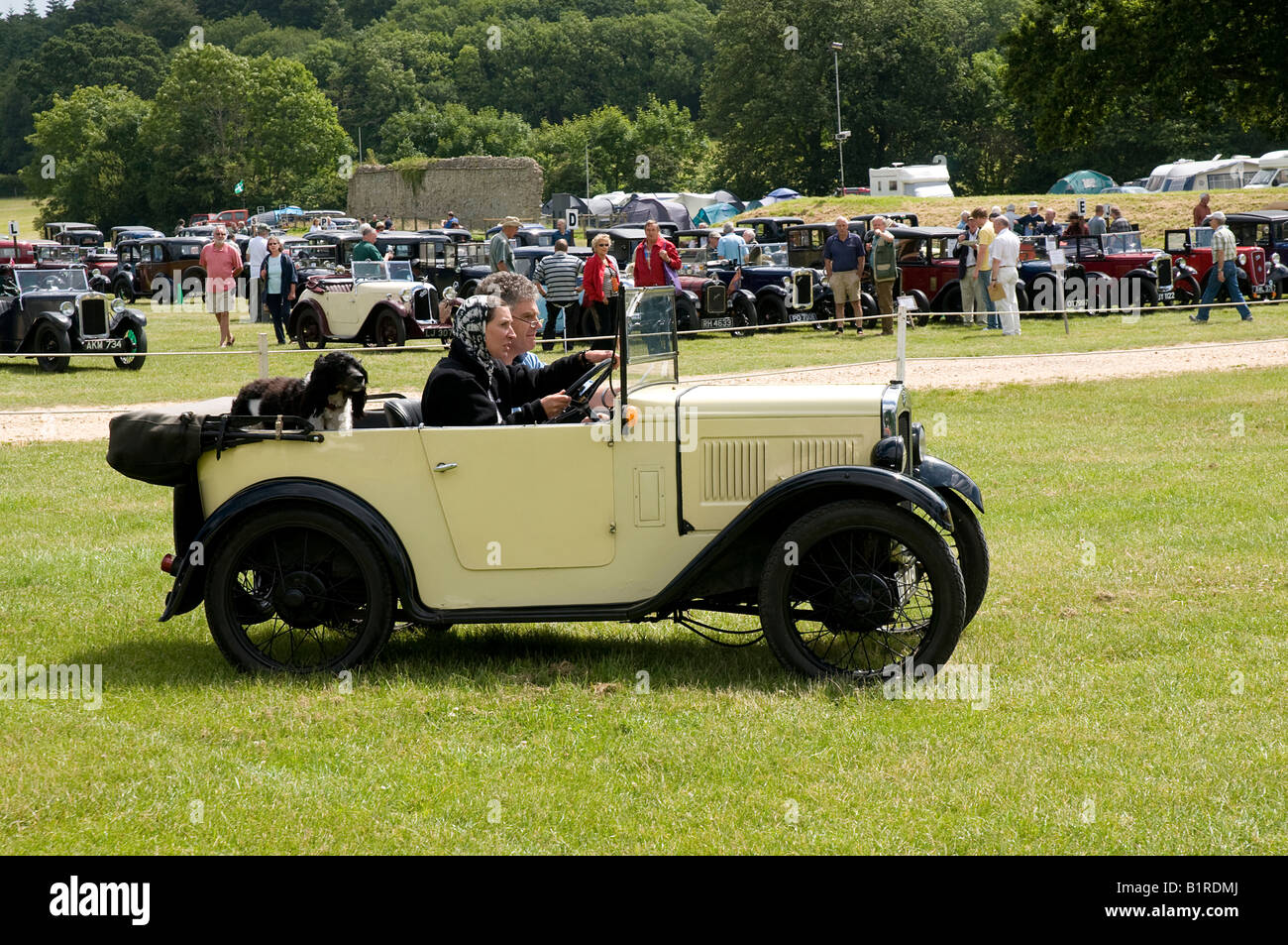 Cream coloured Austi seven at a rally in the New Forest Stock Photo - Alamy