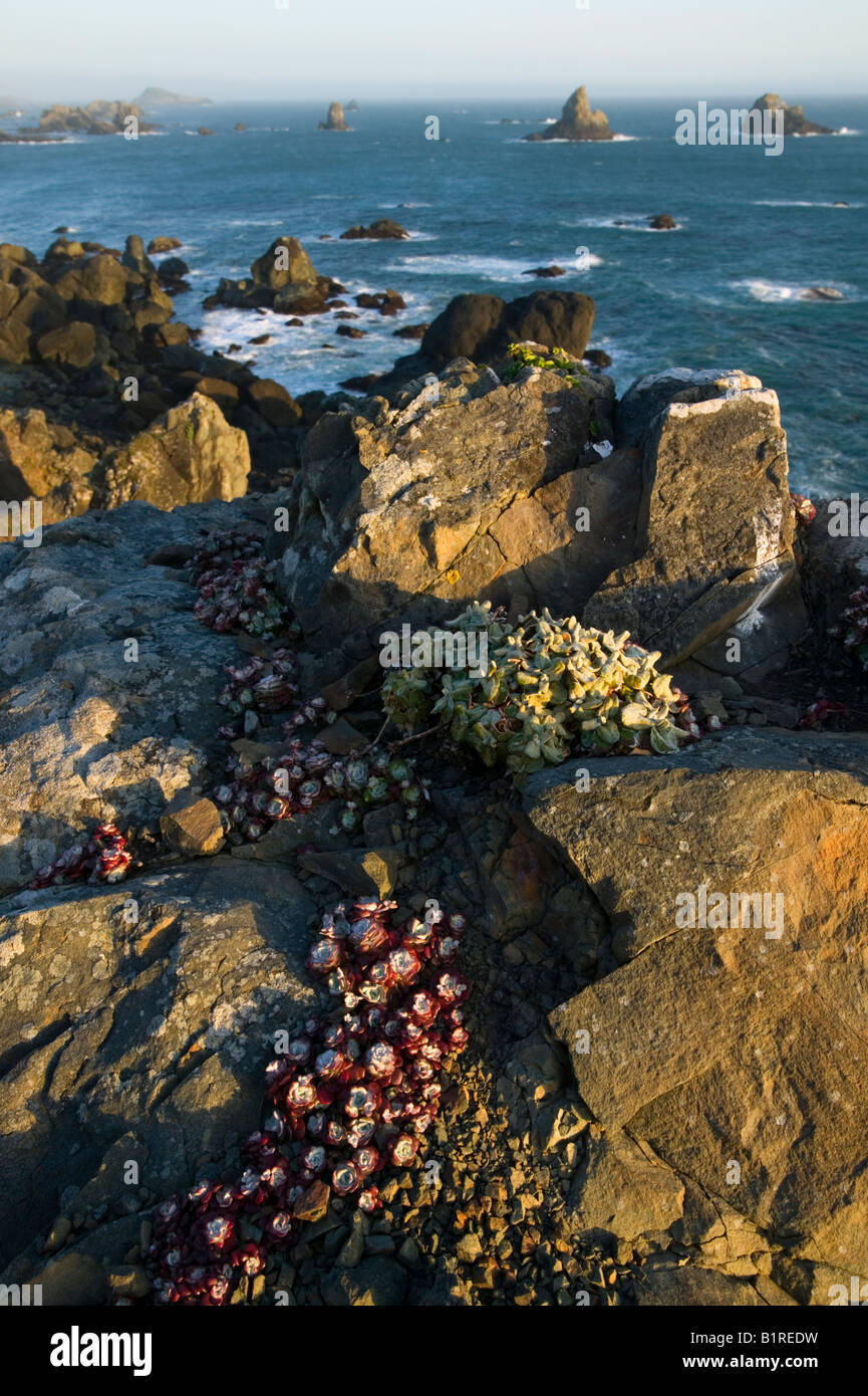 hiker overlooking sea Stock Photo - Alamy