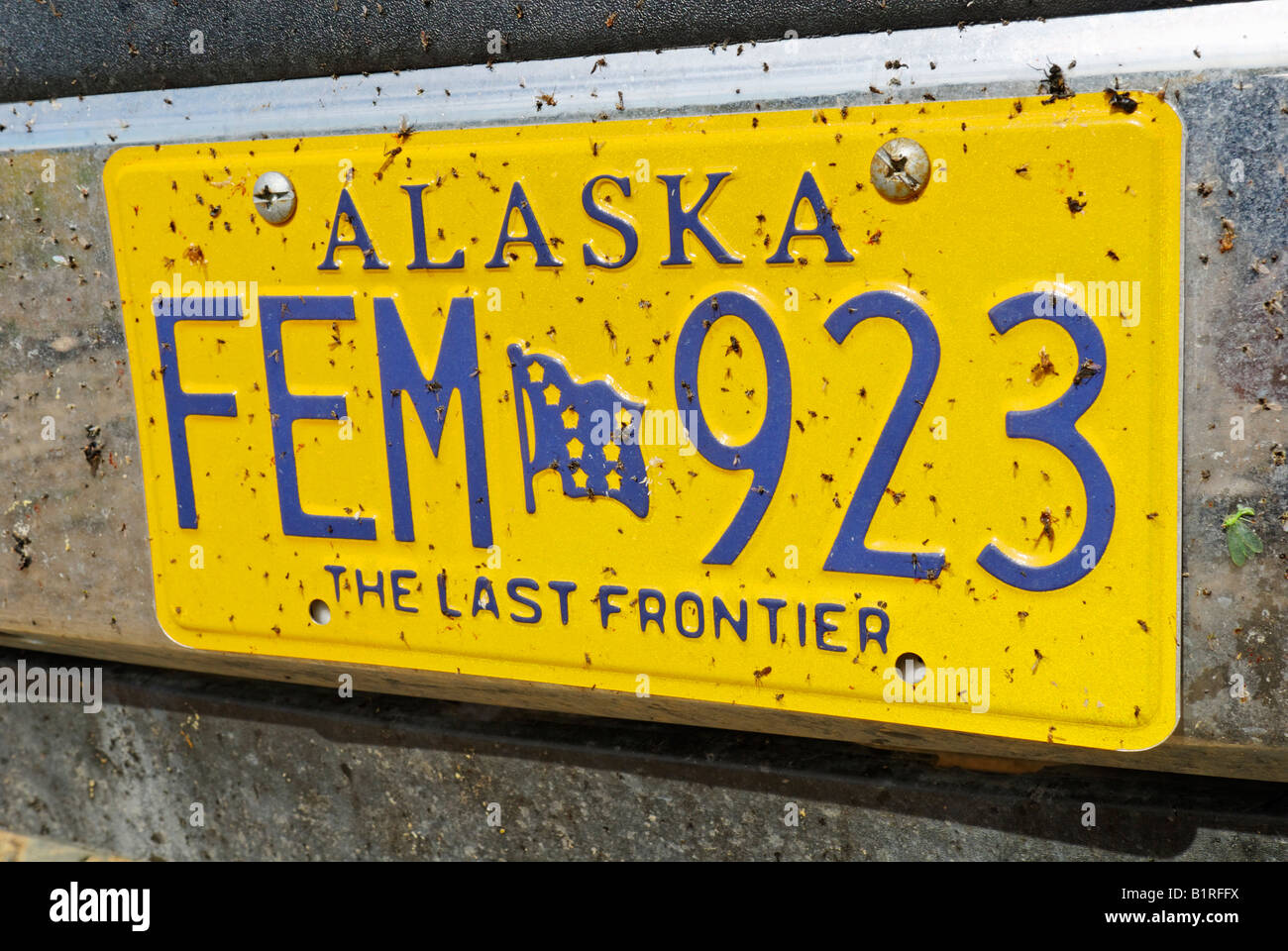 Alaska Licence Plate High Resolution Stock Photography and Images - Alamy