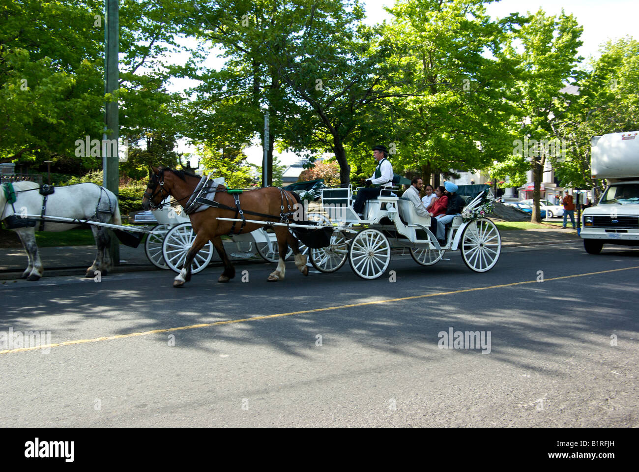 Caleche horse drawn carriage in hi-res stock photography and images - Alamy