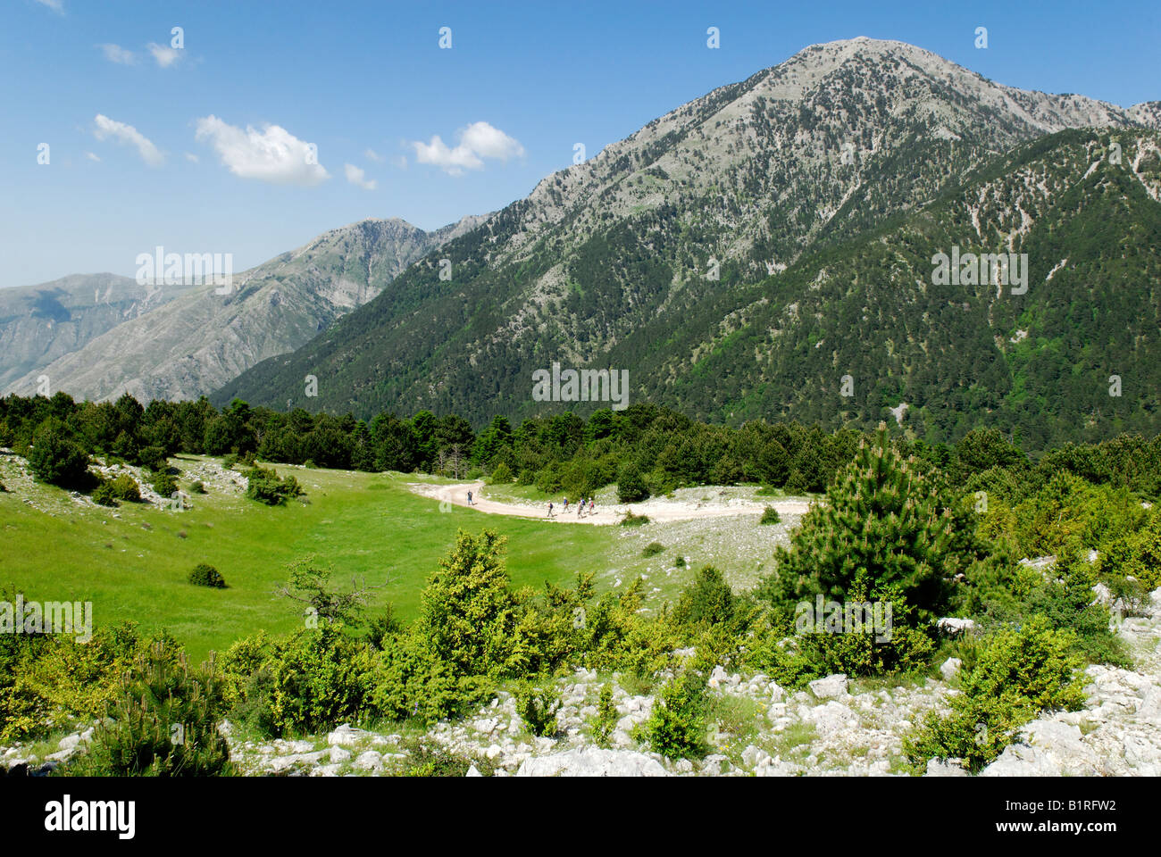 Logara hi-res stock photography and images - Alamy