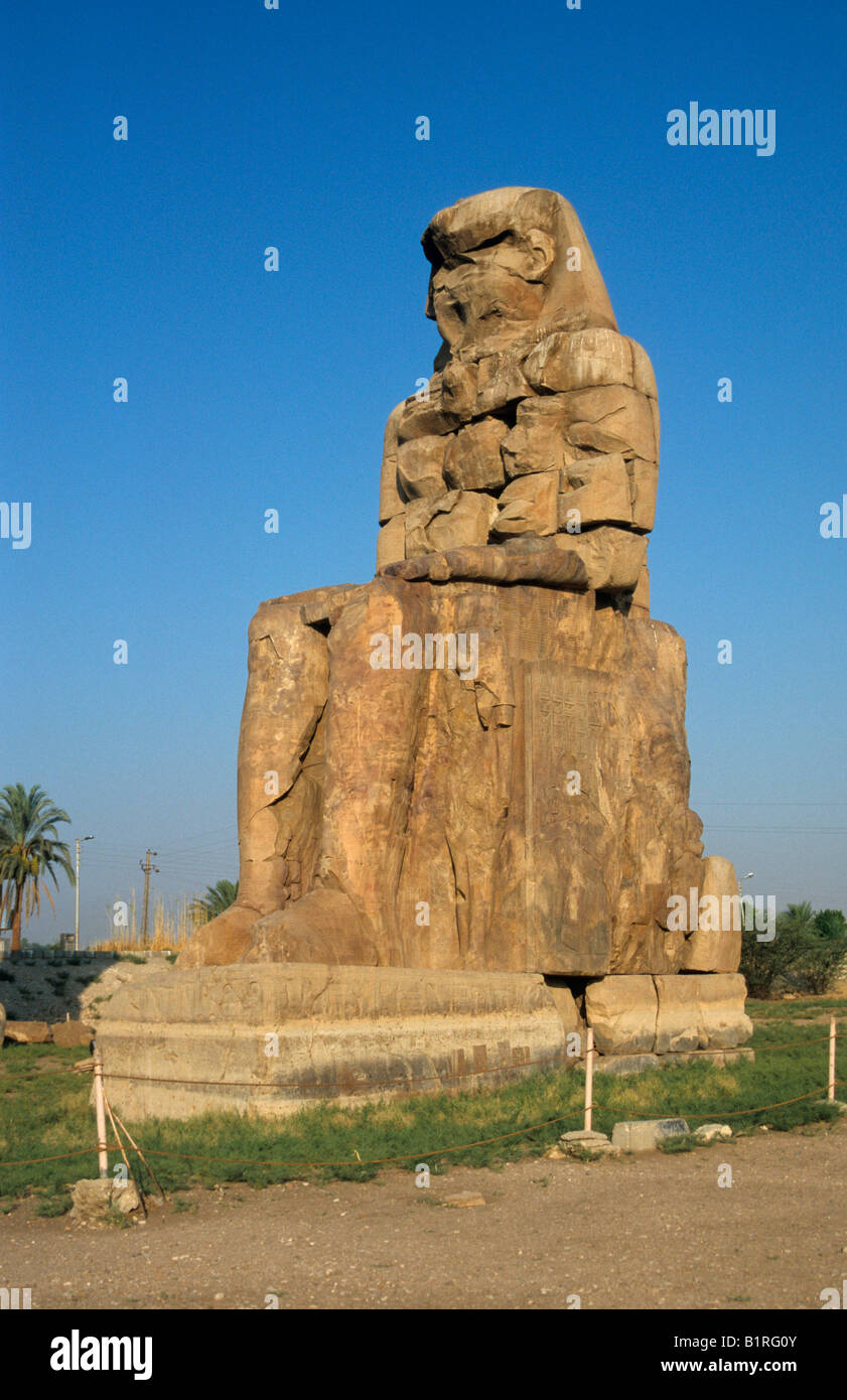 Colossi of Memnon, Luxor, Egypt, Africa Stock Photo - Alamy