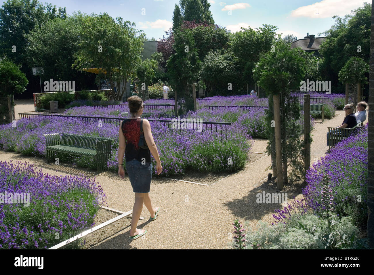 a woman walking in Spa Fields Park, celerkenwell, london Stock Photo ...