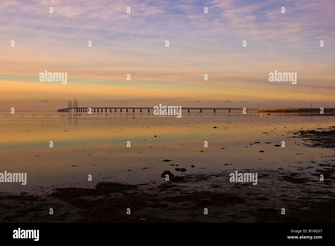View of the Oresund Bridge connecting Copenhagen with Limhamn, Malmo ...