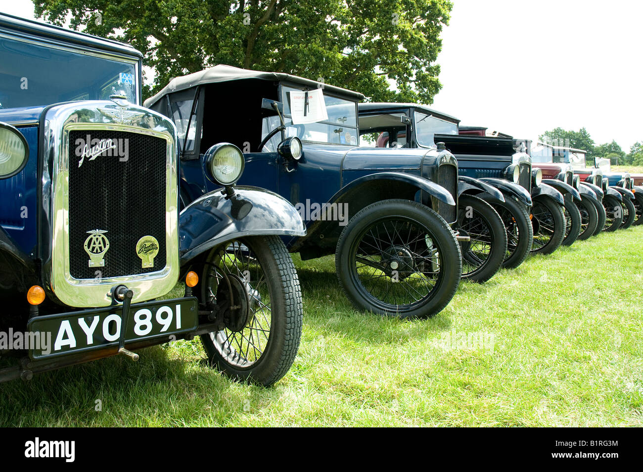 Austin 7 Rally in the New Forest Stock Photo - Alamy