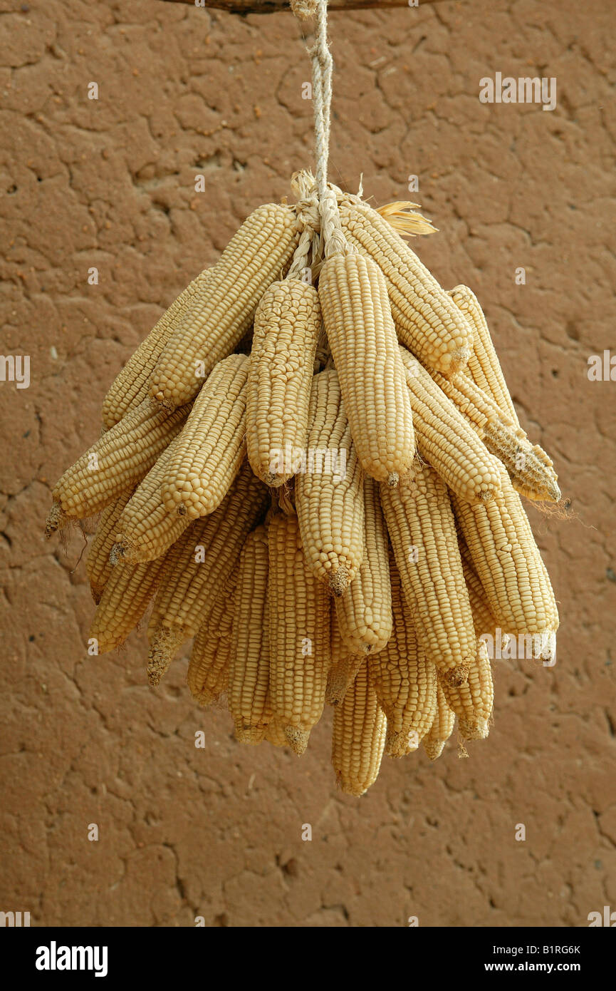 Corn hang up to dry, Pakete, Cameroon, Africa Stock Photo - Alamy