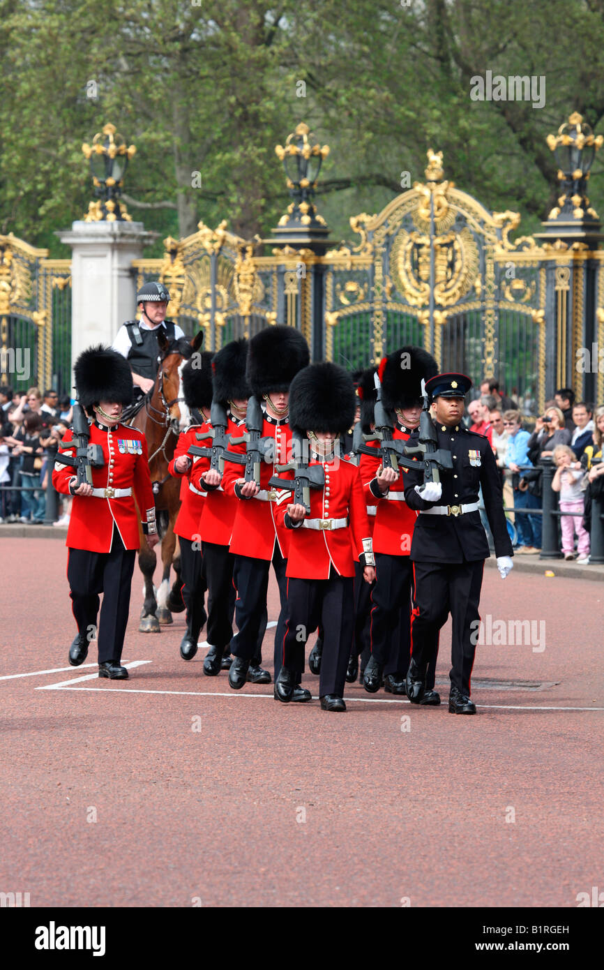 Royal Guard in front of Buckingham Palace, London, England, Great ...