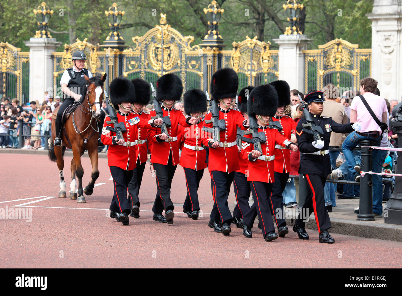 Royal Guard in front of Buckingham Palace, London, England, Great ...