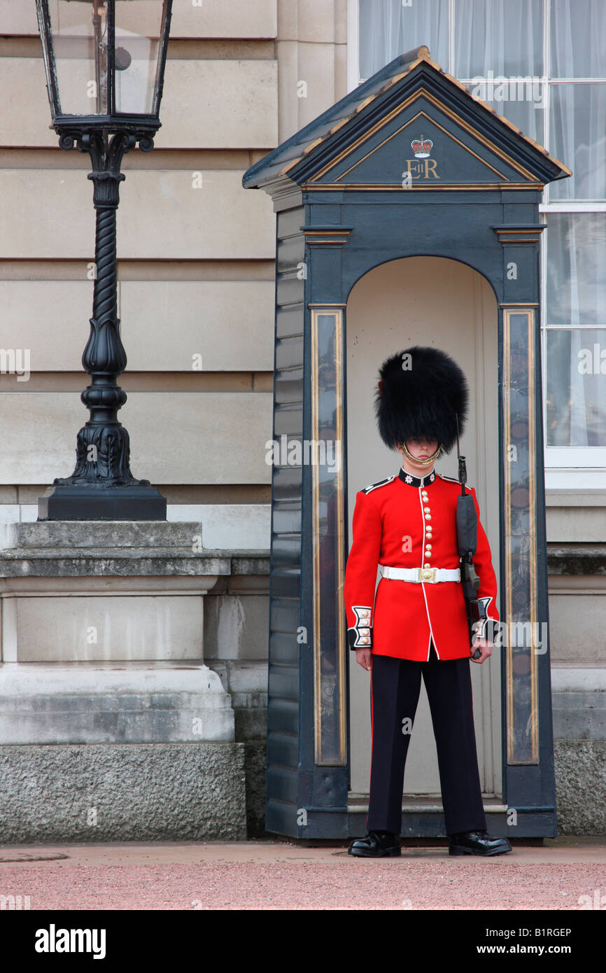Royal Guard in front of Buckingham Palace, London, England, Great ...