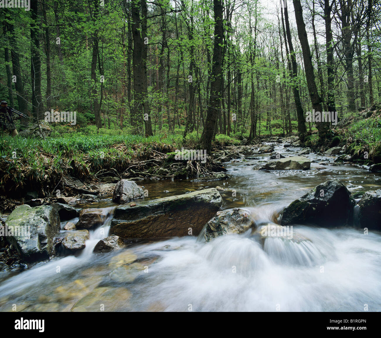 High eifel hi-res stock photography and images - Alamy