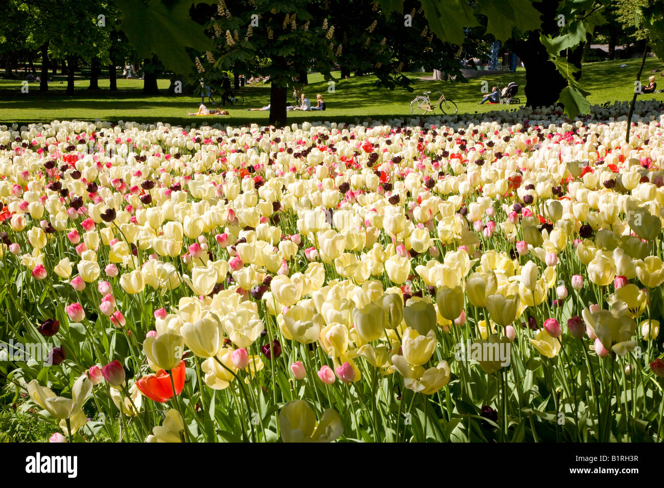 Humlegården park hi-res stock photography and images - Alamy